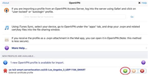 VPN Setup For IOS OpenVPN Smart DNS Proxy Support