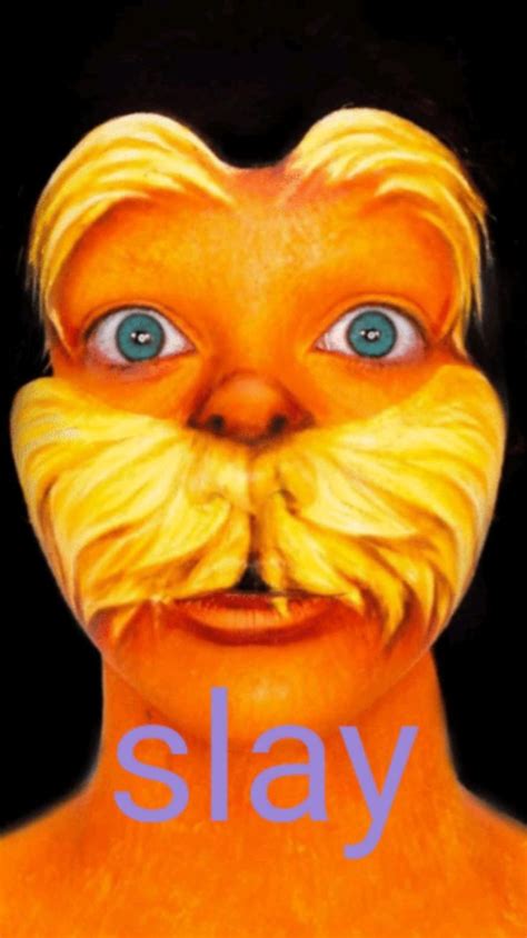 The Lorax Funny Meme Laugh Friends Slay