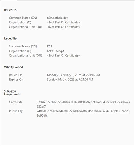 Errsslprotocolerror When Accessing N8n Through Traefik Reverse Proxy