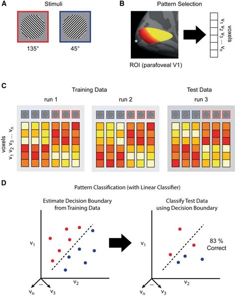Decoding The Brain Neural Representation And The Limits Of Multivariate Pattern Analysis In