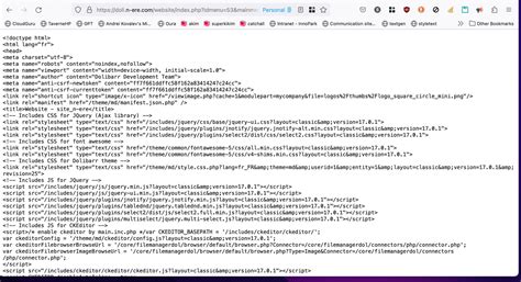 Unable To Load Website Template HTML Shown Instead Other Native Modules Dolibarr