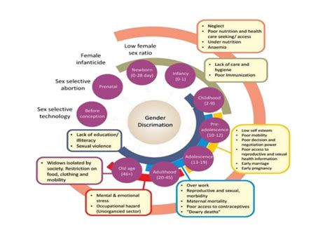 Reproductive Health Lifecycle Approach Pptx