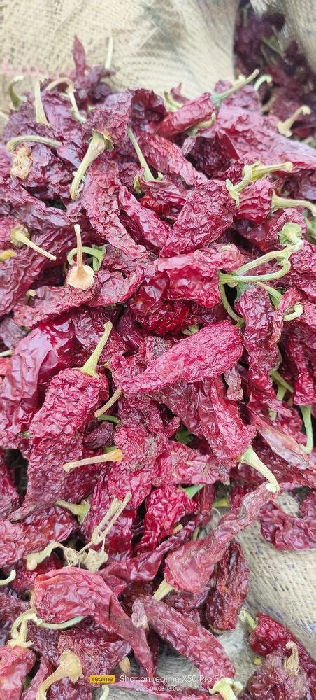 Teja Dabbi Dlx Red Chilli Packaging Size 25 Kg At ₹ 260 Kg In Belagavi Id 2856145080648