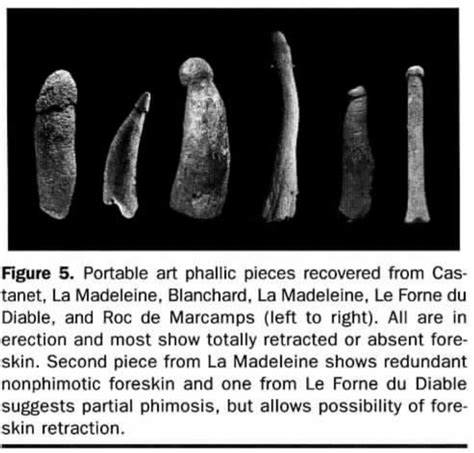 Are These Dildos Really 28 000 Years Old