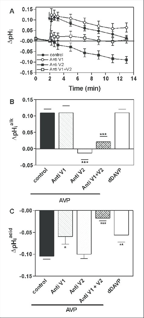 V1 And V2 Receptors Are Involved In The Avp Mediated Ph I Modulation