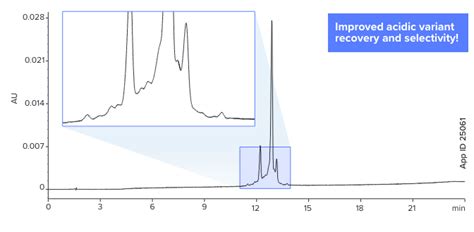 Biozen Wcx Hplc Columns Phenomenex