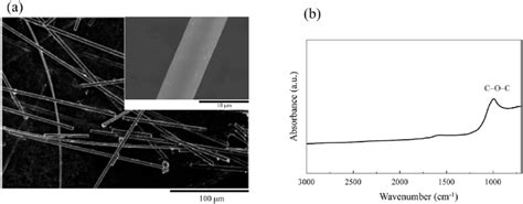 A Scanning Electron Microscopy Image And B Fourier Transform