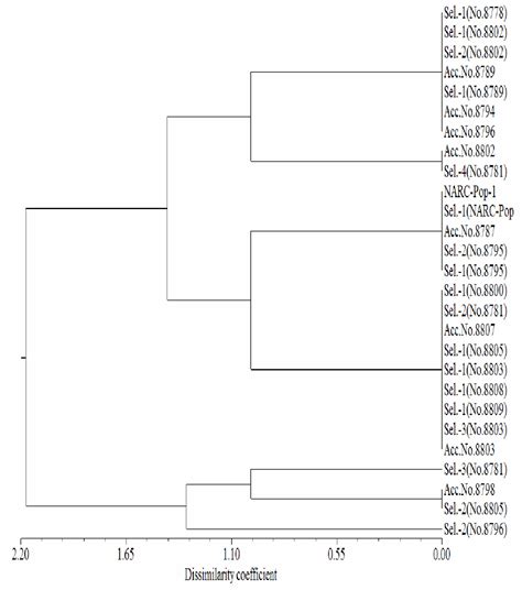 dendrogram of pearl millet germplasm based on dissimilarity matrix of