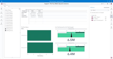 Use Parameters To Pick Your Metric In Visual Analytics Reports Sas Users