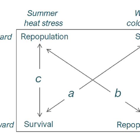Previous Page The Bam Diagram Showing A Simplified Framework For