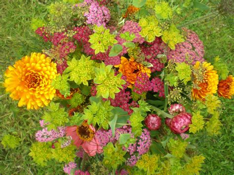 Autumn Flowers Flowers World