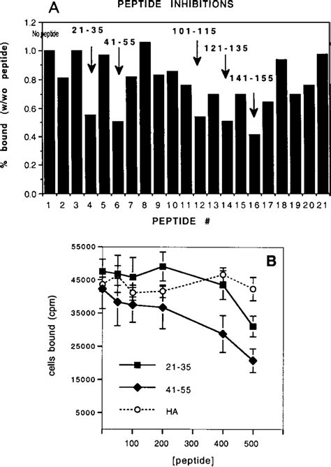Peptides Derived From The Sequence Of The Dr Polypeptide Inhibit The Download Scientific