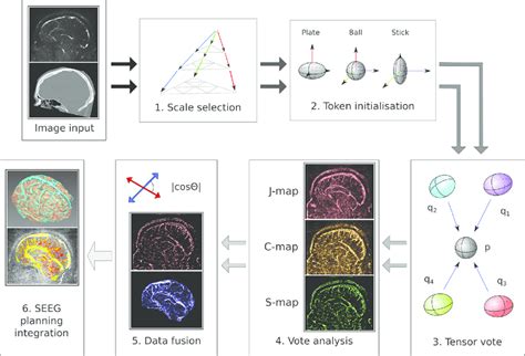 Vessel Extraction Diagram After Optimal Scale Selection Images Are