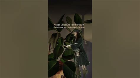 Ухаживайте за растениями сад садоводство огород дача удобрения растения комнатныецветы