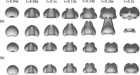 The Comparison Of Shape Evolution Of Two Inline Bubbles A H 15d