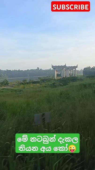 මීරිගමින් හමුවූ ඉපරනි නටබුන් ඒකාලෙ කොහොම තාක්ශනයක් තියෙන්න ඇතිද Youtube