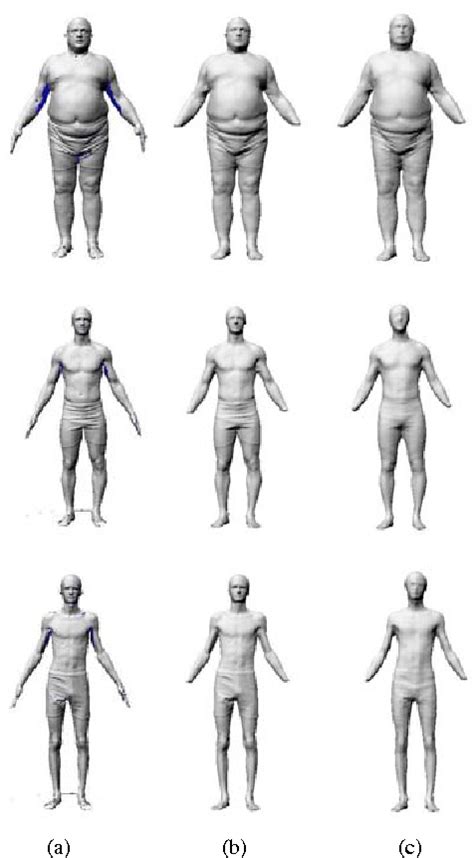 Figure 2 From Extracting Main Modes Of Human Shape Variation From 3 D Anthropometric Data