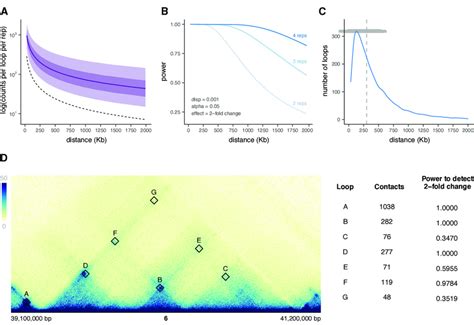 Counts And Power Decrease With Increasing Loop Size A Median Counts Download Scientific