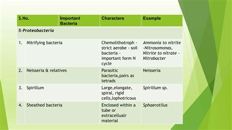 Classification Of Bacteria Microbiology Pptx