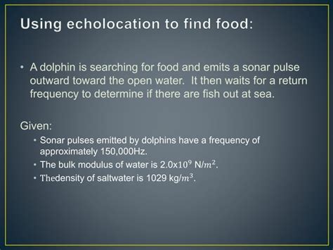 Physics And Echolocation Pptx Physics Science