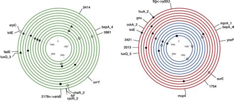Parallel Genomic Evolution Within And Between Treatments Download Scientific Diagram