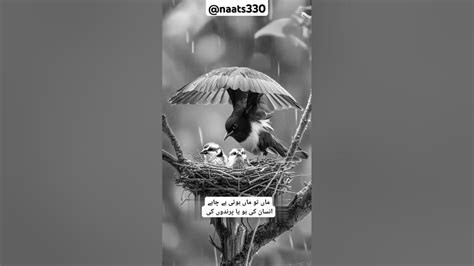 ماں تو ماں ہوتی ہے دوست Youtube