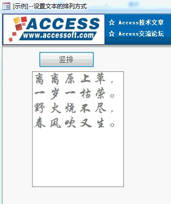 Access示例设置文本的排列方式 设置垂直显示Access软件网