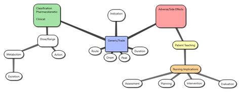 Pin On Nursing Concept Maps