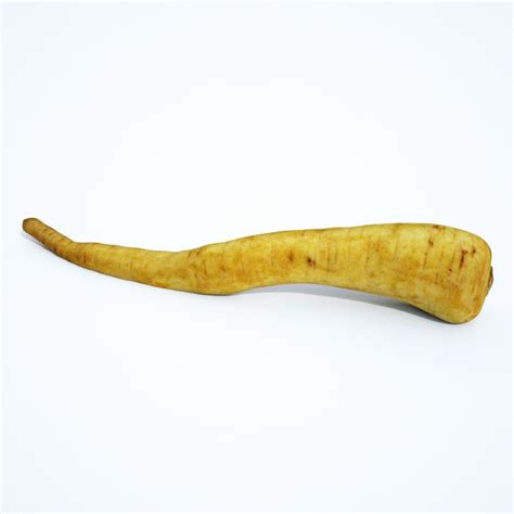 parsnip 3 3d model 20 lwo obj fbx free3d