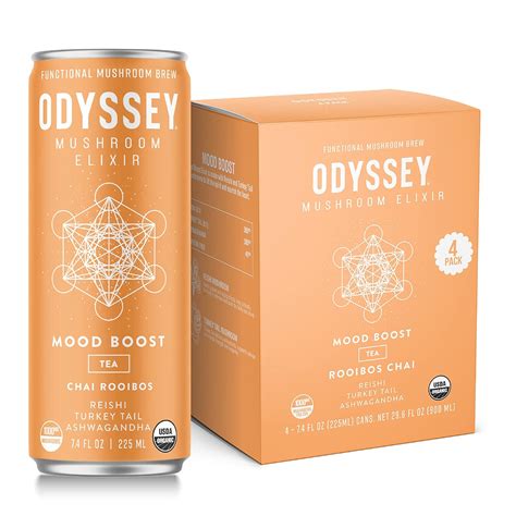 Buy Odyssey Elixir Mood Boost Mushroom Drink 7 4 Fl Oz Chai Rooibos