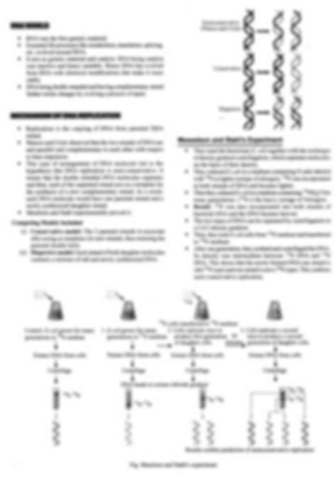 SOLUTION Molecular Basis Of Inheritance Notes For Neet Or Cbse Studypool