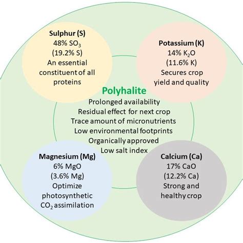 2 Polyhalite—an Emerging Potential Natural Fertilizer That Contains