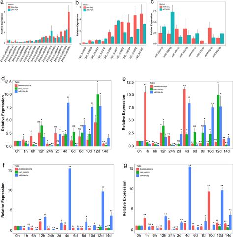 Qrt Pcr Was Performed To Validate The Differentially Expressed Mrnas Download Scientific