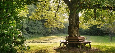 Prendre Rendez Vous Isabelle Arnould