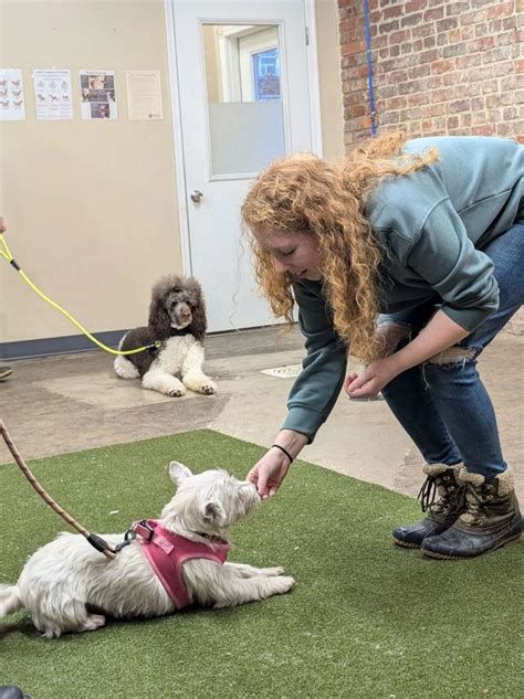 Group Class By Arf Limits