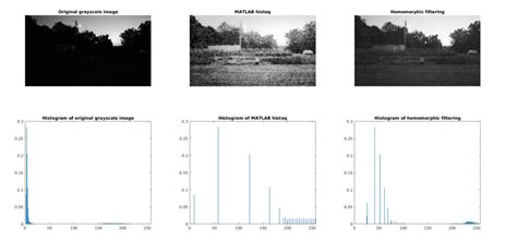 基于matlab的数字图像处理 图像进行灰度化matlab灰度图像处理 Csdn博客