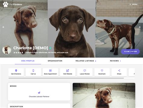 Mylisting Elementor Toolkit Yellowwaveeu