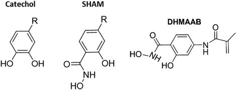 Chemical Structures Of Catechol Sham And Sham Containing Monomer
