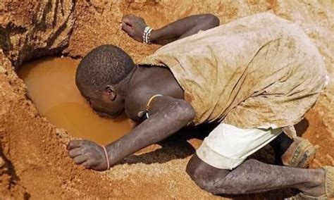 Tại Sao Người Châu Phi Không Trồng Lương Thực Dù đất đai ở Châu Phi Màu Mỡ Hóa Ra Có Hai “báu