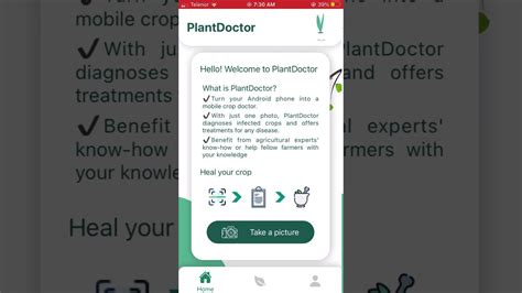 Fyp Demo Plant Doctor Leaf Disease Detection React Native Flask