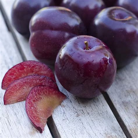 Buy Santa Rosa Plum Tree Online Free Shipping