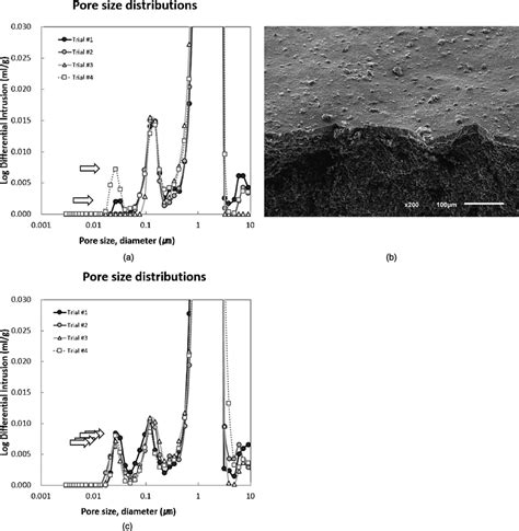 A Pore Size Distributions Of Ultrafiltration Layer Coated Silicon