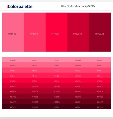 1430 Latest Color Schemes With Hot Pink Color Tone Combinations 2023
