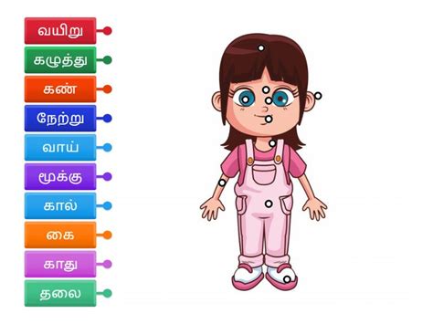 Grade 6 ශරීර කොටස් හඳුනාගැනීම Oshadee Dassanayaka Labelled Diagram