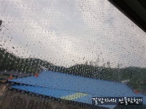창문시트지 무점착창문시트지 유리창시트지 아프로시트 무점착유리시트지를 사서 베란다 창문에 붙여주었다 부록 유리창 쩔은 뽁뽁이 제거하기 네이버 블로그
