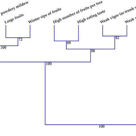 hierarchical clustering algorithm with paired groups upgma —euclidean