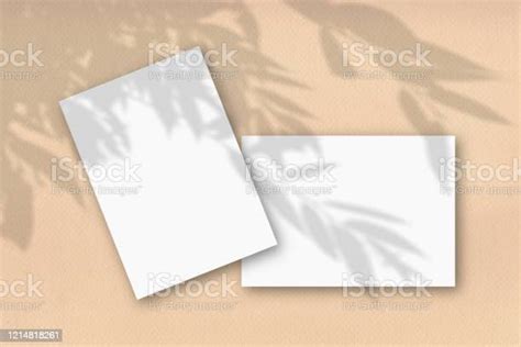 낙태 노란색 벽에 흰색 질감 종이 2 장 식물 그림자의 오버레이와 모형 자연광이 나무의 단풍에서 그림자를 투사합니다 플랫 레이 상단 보기 0명에 대한 스톡 벡터 아트 및