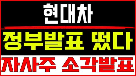 현대차 기아 주가전망 정부발표 떴다 자사주 소각발표 L 기아주가전망 현대차주가전망 기아주가 현대차주가 기아목표가 현대차목표가 주주밸류업프로그램 Youtube