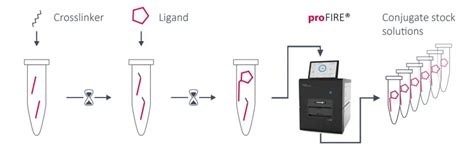 Dynamic Biosensors Pf Nh2 1 Amine Coupling Kit User Guide