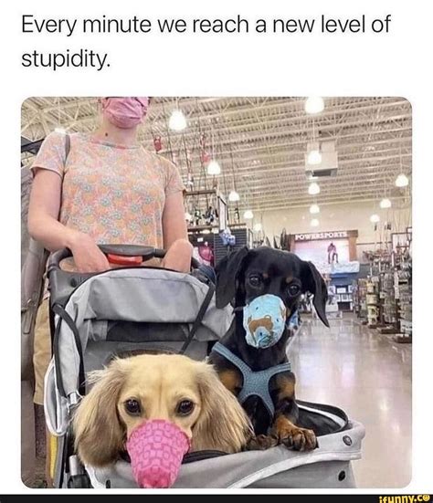 Every Minute We Reach A New Level Of Stupidity E Tes Eye Nt Nu Ifunny